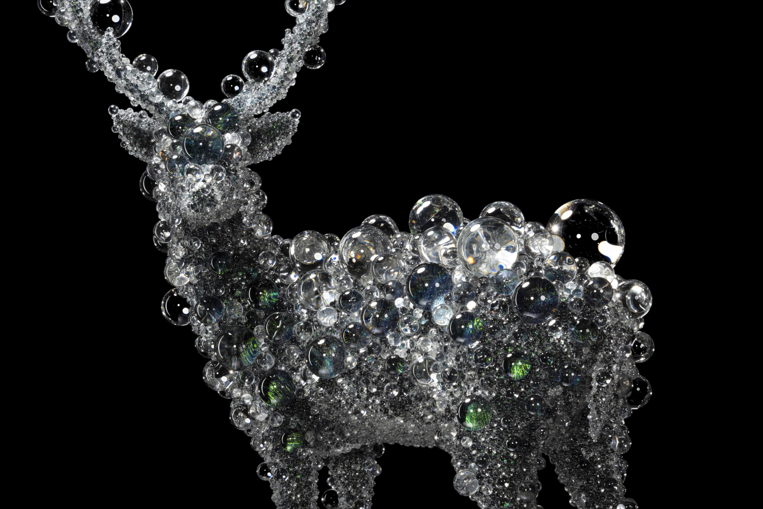 SPRING RISING | EXHIBITION | Pola Museum of Art